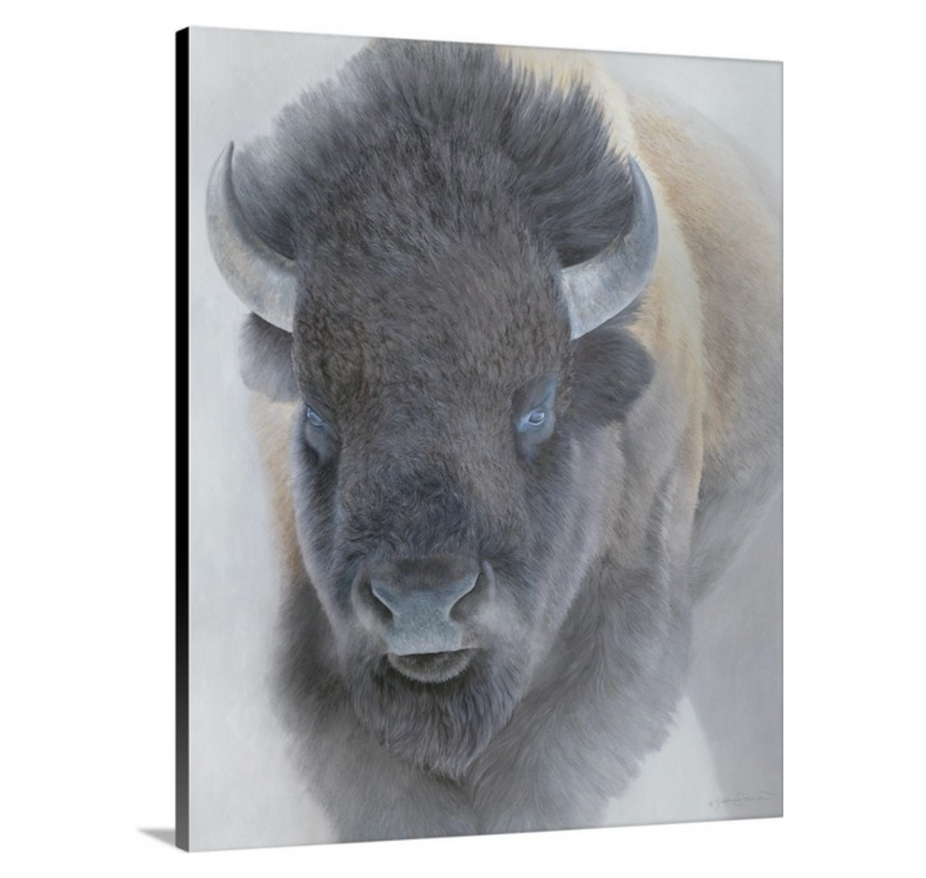 Big Bison - Open Edition Canvas Giclee Print – Corwin Galleries