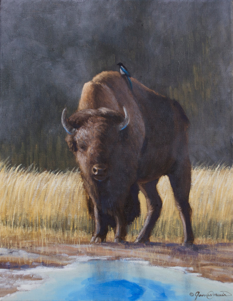 A Portrait of Yellowstone - Bison & Magpie - Oil on Canvas – Corwin ...