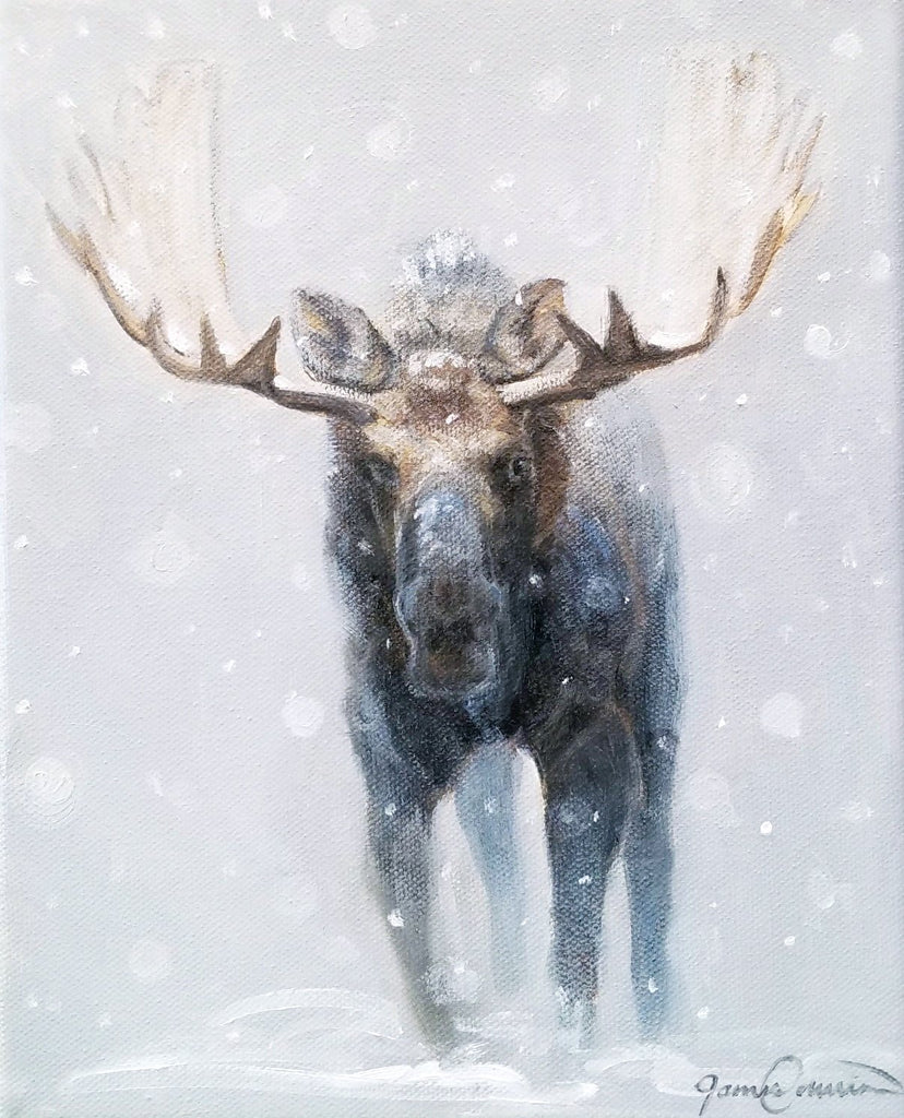 Winter Moose Study - Oil on Canvas – Corwin Galleries
